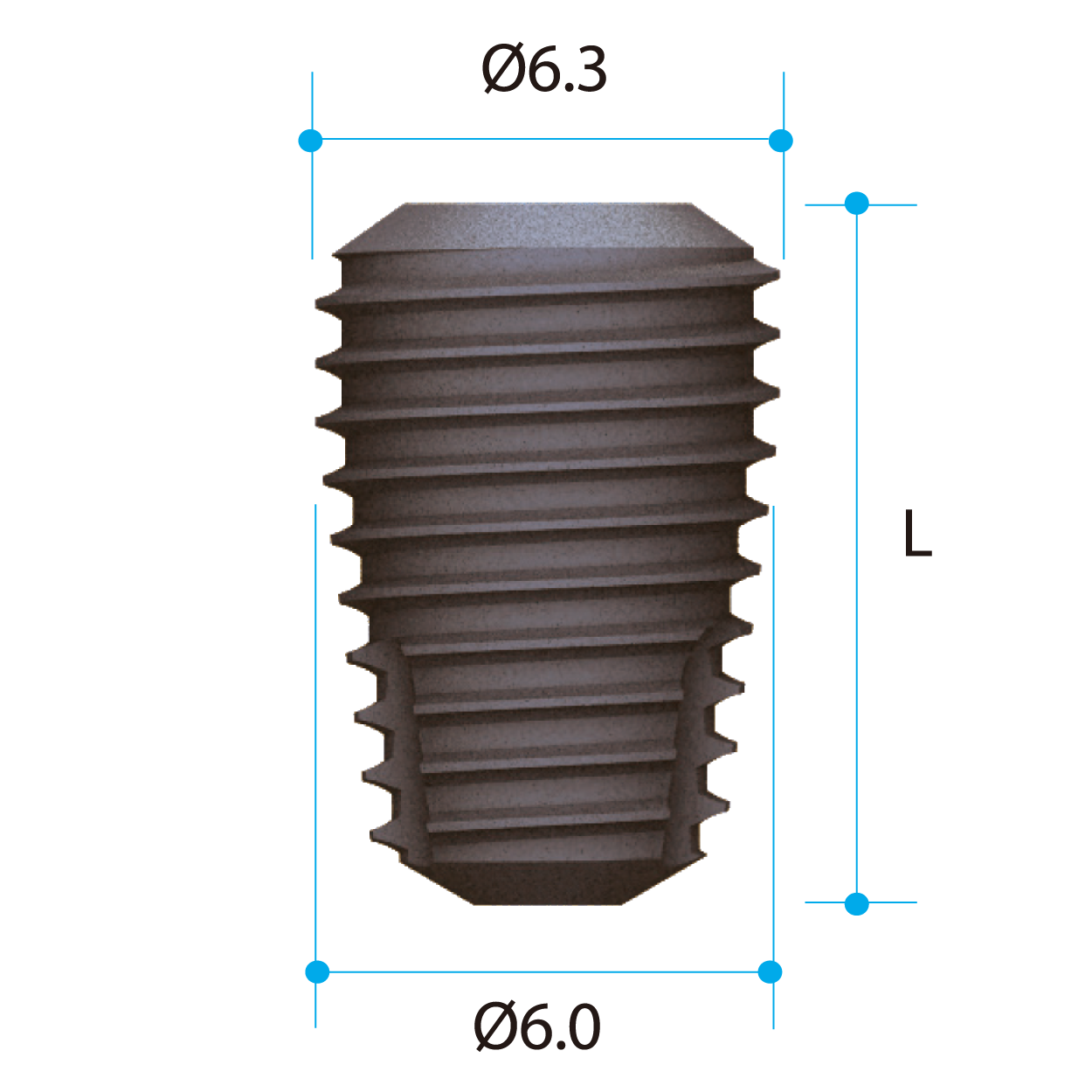 MEGAGEN / Fixture [AO] φ6.0/ L13.0